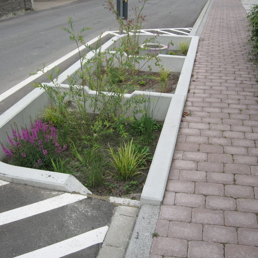 Regnbede - Mattle ApS