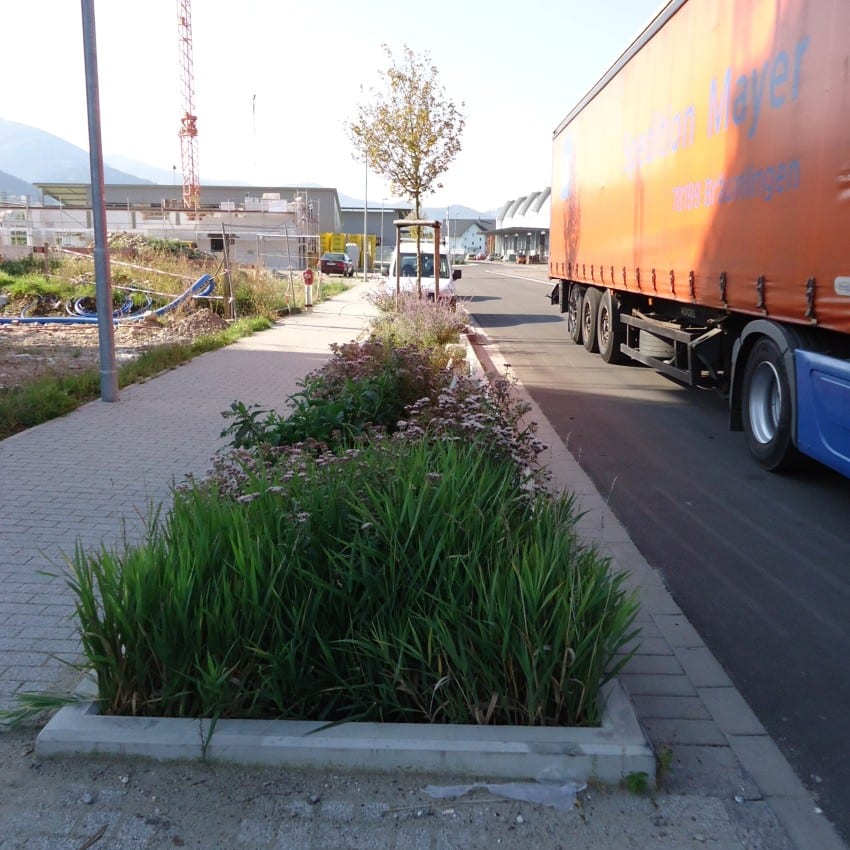 Regnbede - Mattle ApS