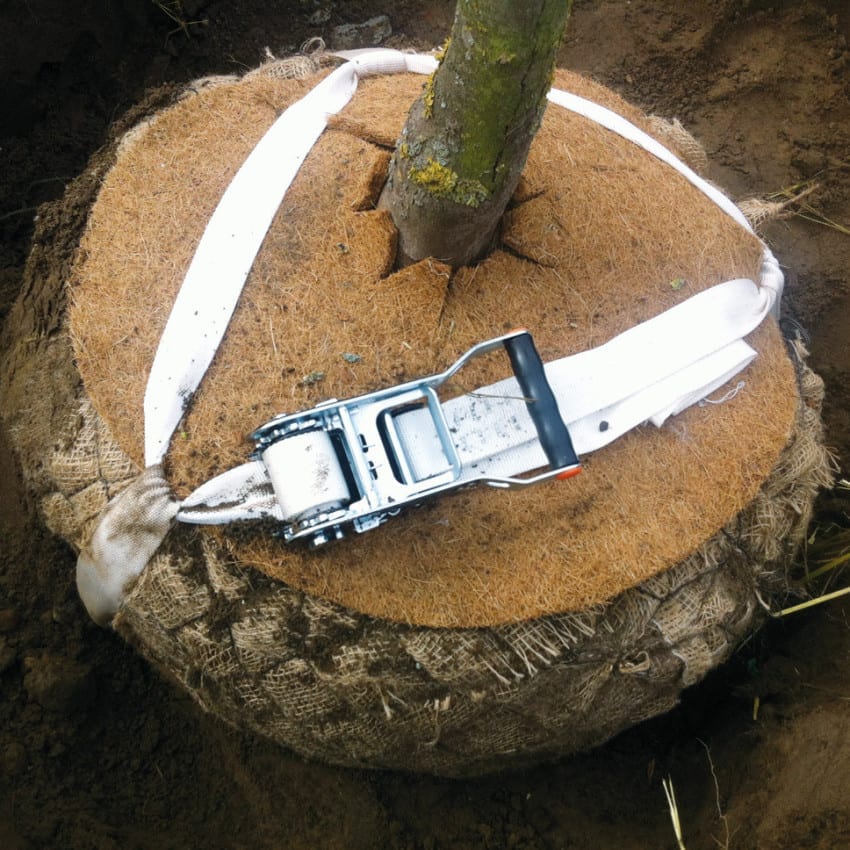 TreeLock Bio - Mattle ApS