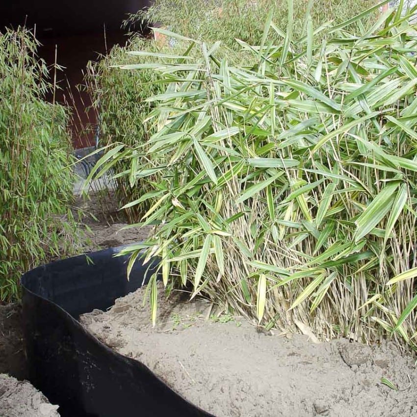 RootBlock - Mattle ApS