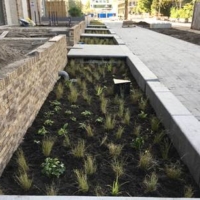 Regnbede - Mattle ApS