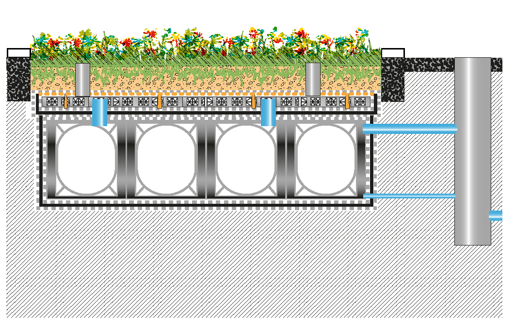 Optimering af regnbede med fokus på effektiv vækst | Mattle